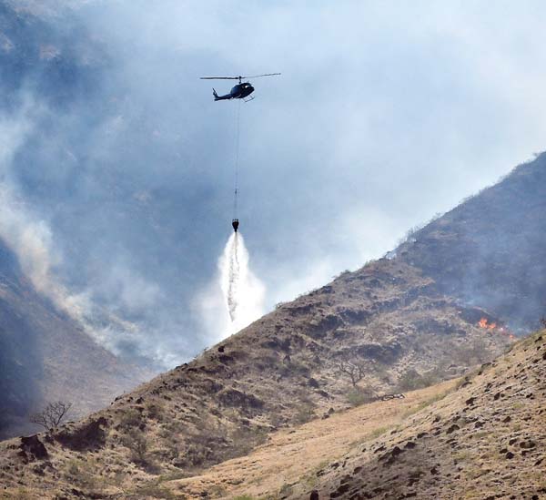 Fire blackens over 4,100 acres | News, Sports, Jobs - Maui News